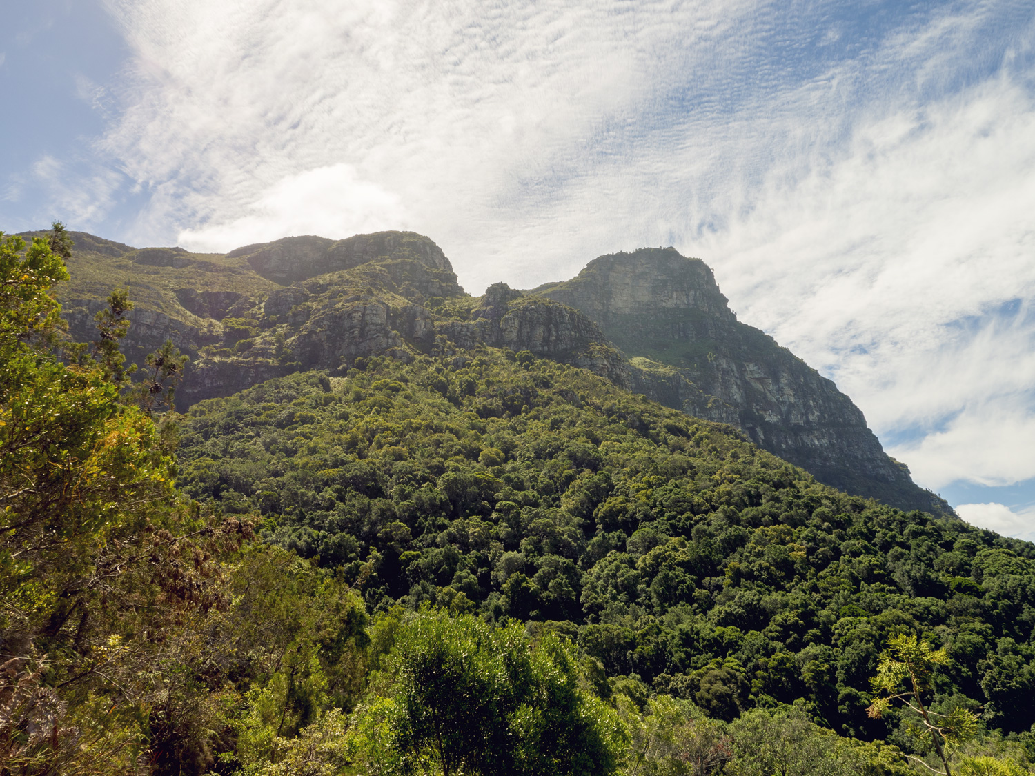 Skeleton Gorge & Nursery Ravine Hike - Nicolas